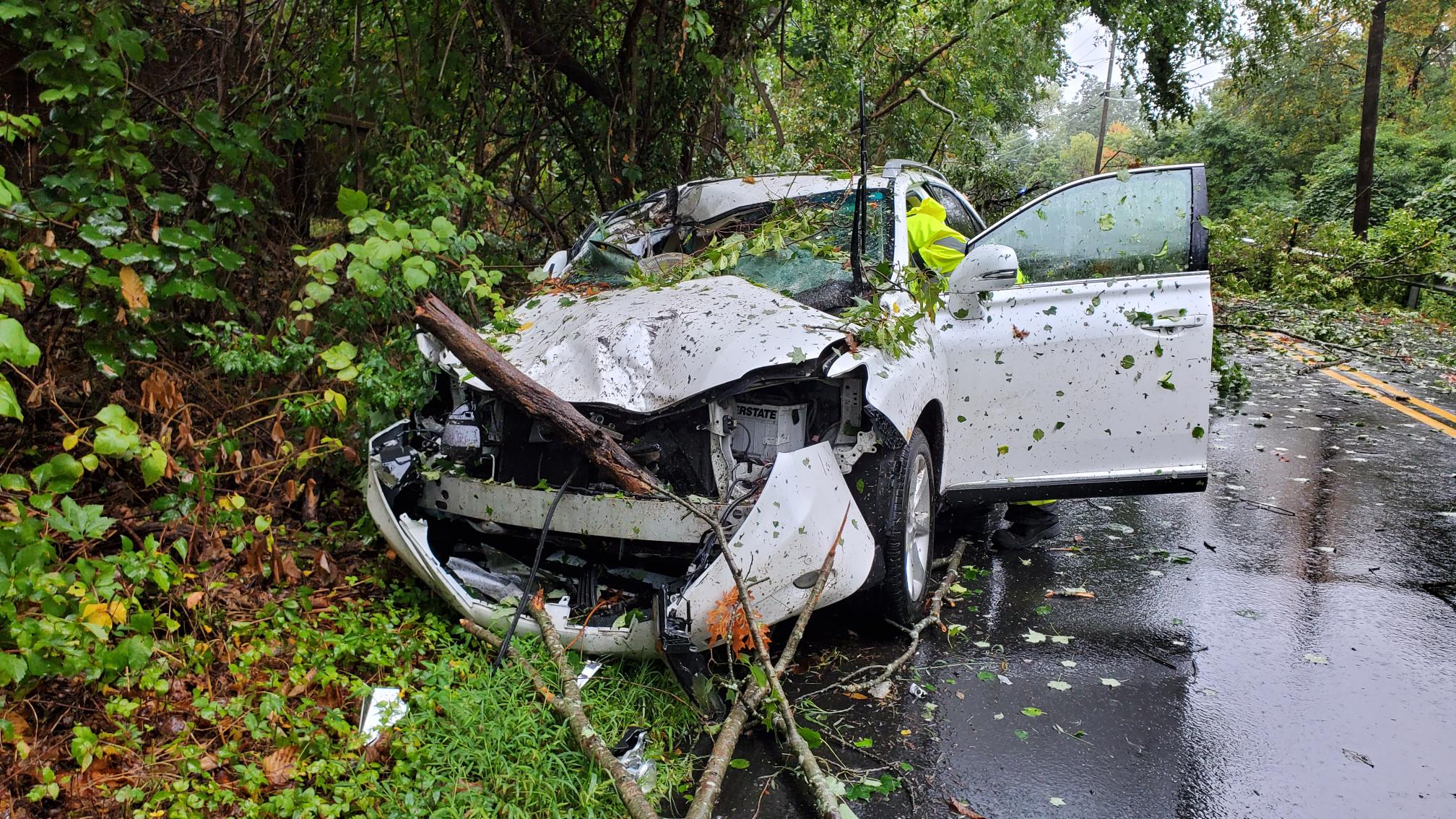 Trees as road hazards | Our Stony Creek, Connecticut - Now and Then